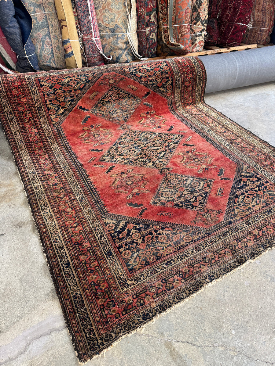 5x6 Square Antique Persian Afshar Rug #4195-C – Blue Parakeet Rugs