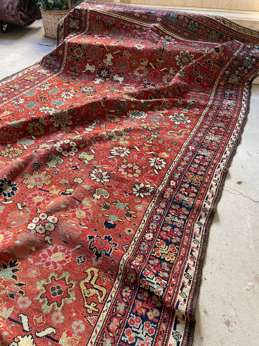 5'10 x 15'1 Antique Persian Burnt Melon ground rug #2657 / 6x15 vintag ...