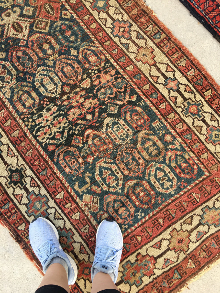 3’6 x 10’10 Antique Caucasian Runner (#834) – Blue Parakeet Rugs